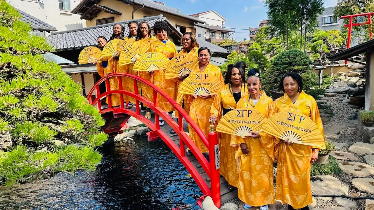 Promotional Fans Overview | NBN Sports